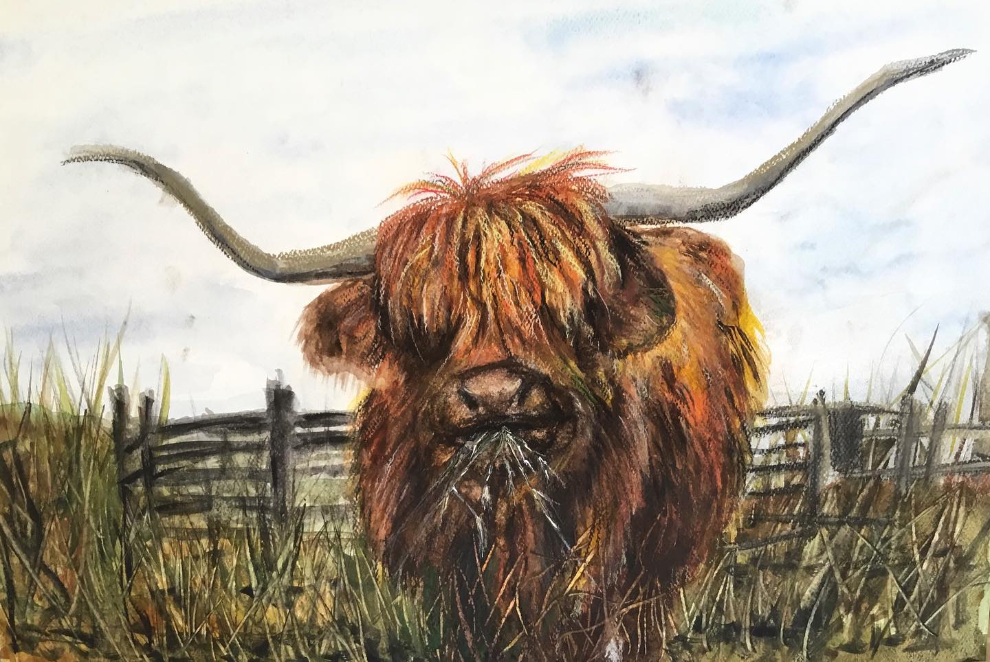 Creative Caversham – Jill McEvoy – Caversham Bridge Newspaper