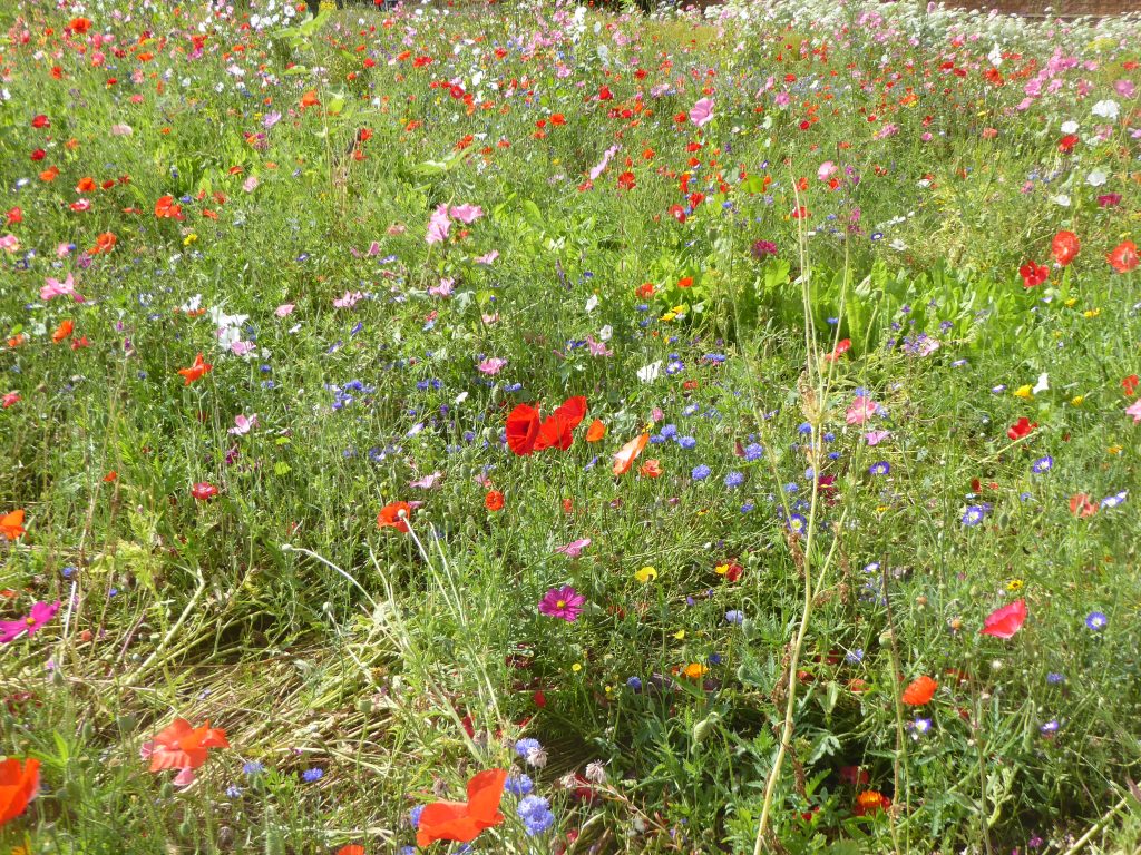 A COMMUNITY NEWSPAPER PRODUCED BY CAVERSHAM CHRISTIAN NEWS LTD FOR THE ...